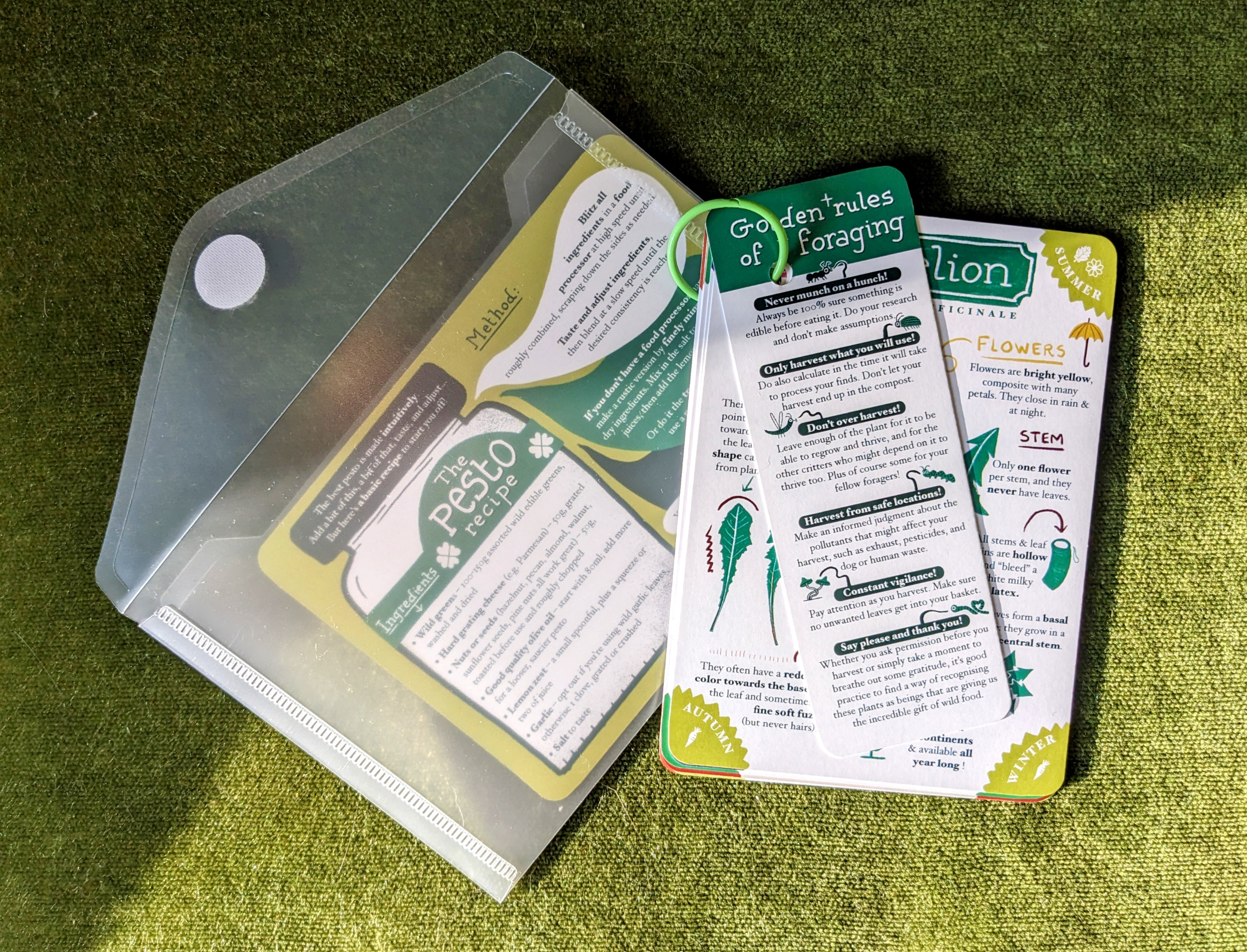 Pesto & More: A Pocket Foraging Guide | The Wild Path