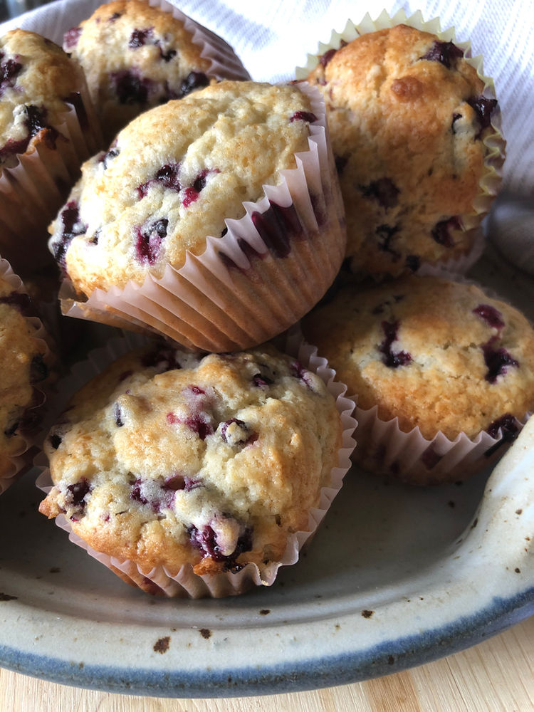Wild Huckleberry Muffins