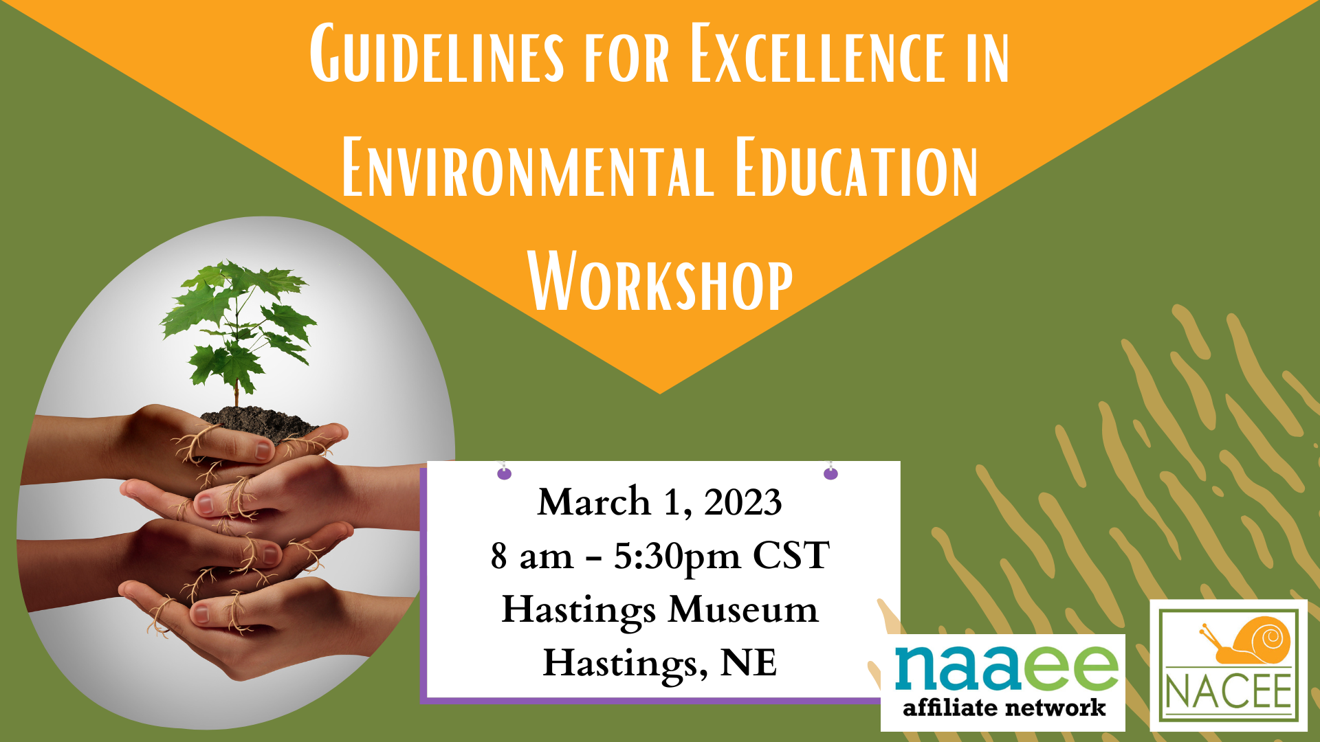 Guidelines for Excellence Workshop | nacee