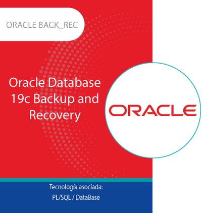 ORACLE BACK_REC | oracle Database 19c Backup and Recovery | Netec