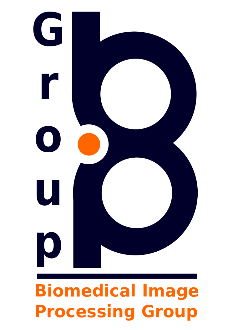 Biomedical Image Processing Group (BIPG)