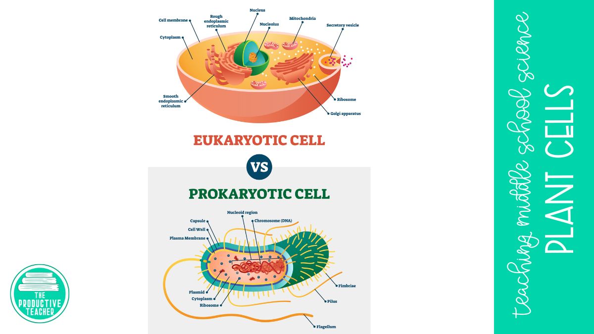 Plant Cells for Middle School Science