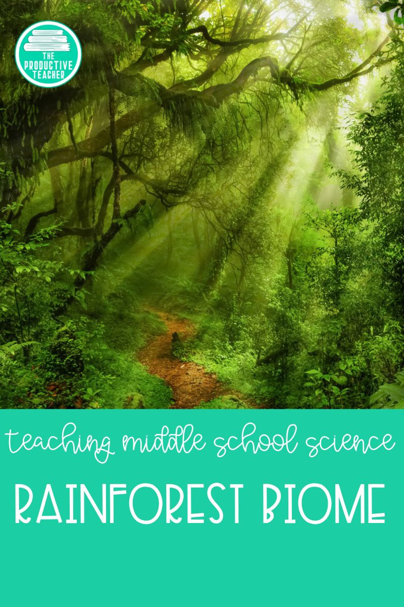The Rainforest Biome for Middle School Science