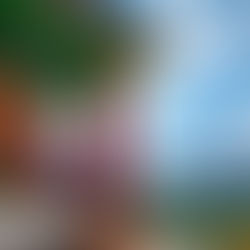 Timars of the Ottoman Empire for AP World History