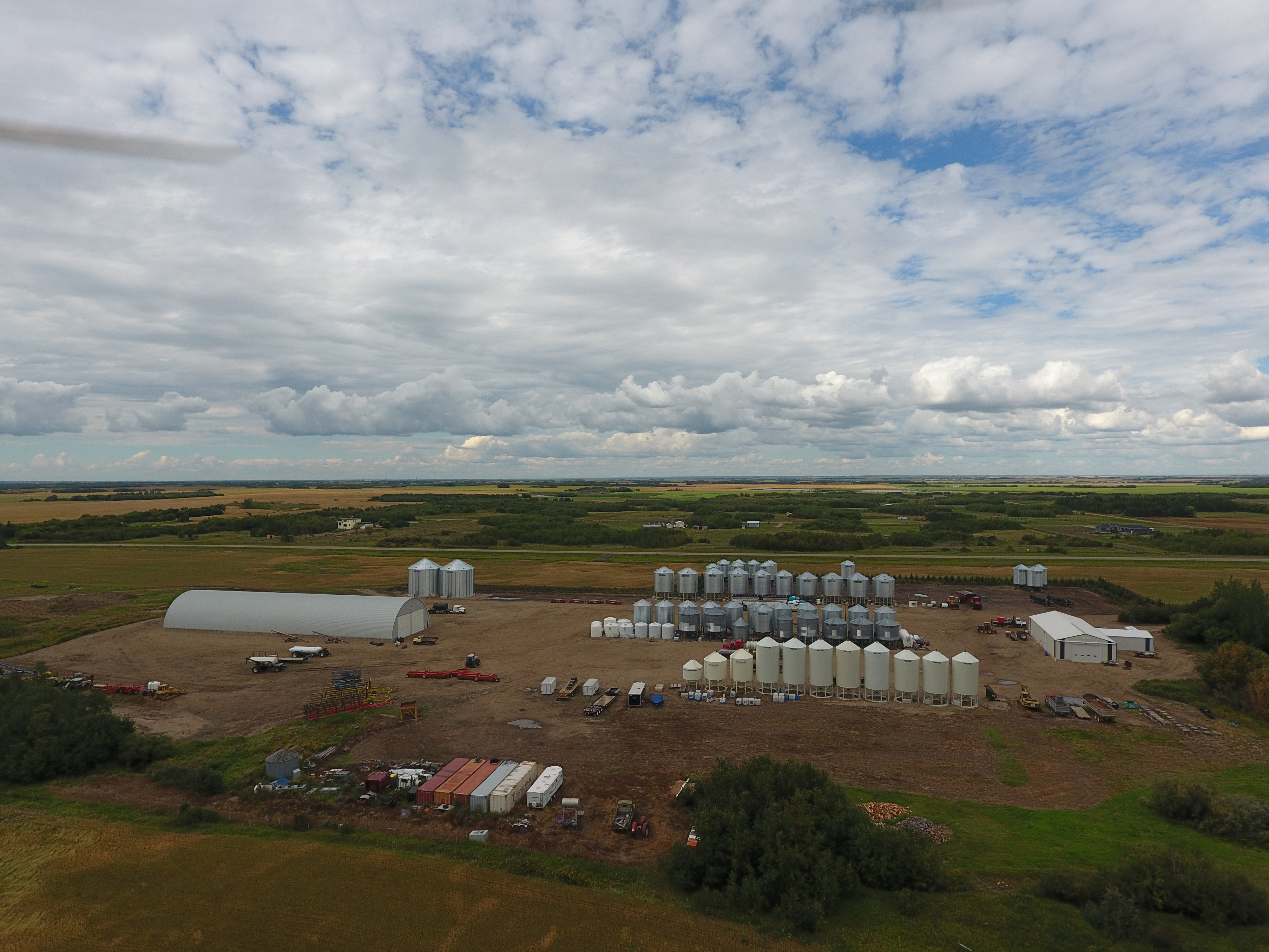 Gallery | charabinseedfarm