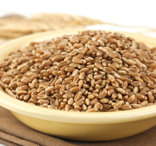 Hard Red Winter Wheat Berries, 5 Lb | Yoder'sCountryMarket