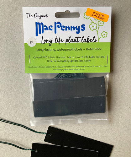 Pack of 25 double sided large labels | MacPennys Garden L