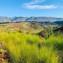 Activities | Elgin River Lodge | Elgin