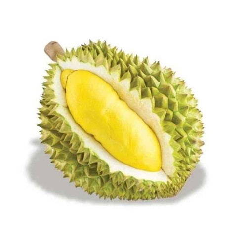 FZ DURIAN RI 6/KG PLU-1145658 | MCQ Supermarket