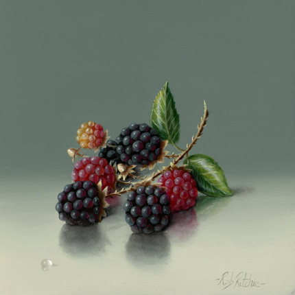 Gallery | rob ritchie