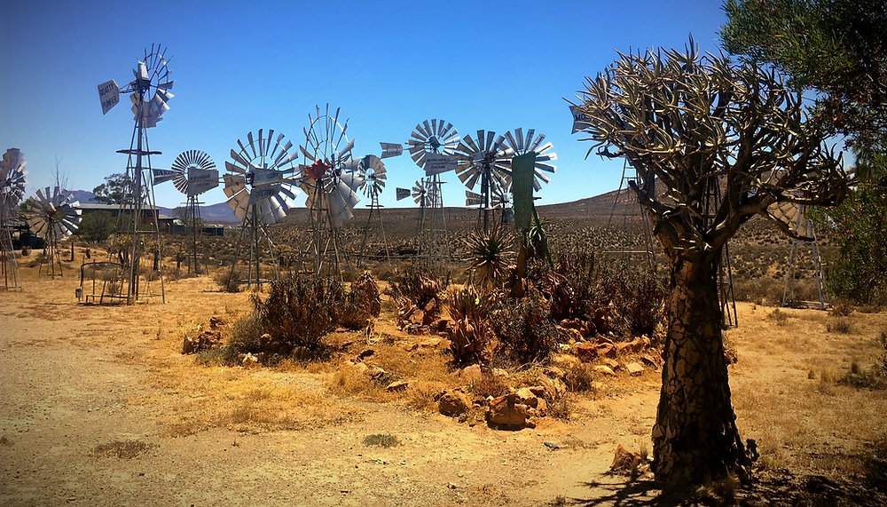 THE KAROO IS CALLING...