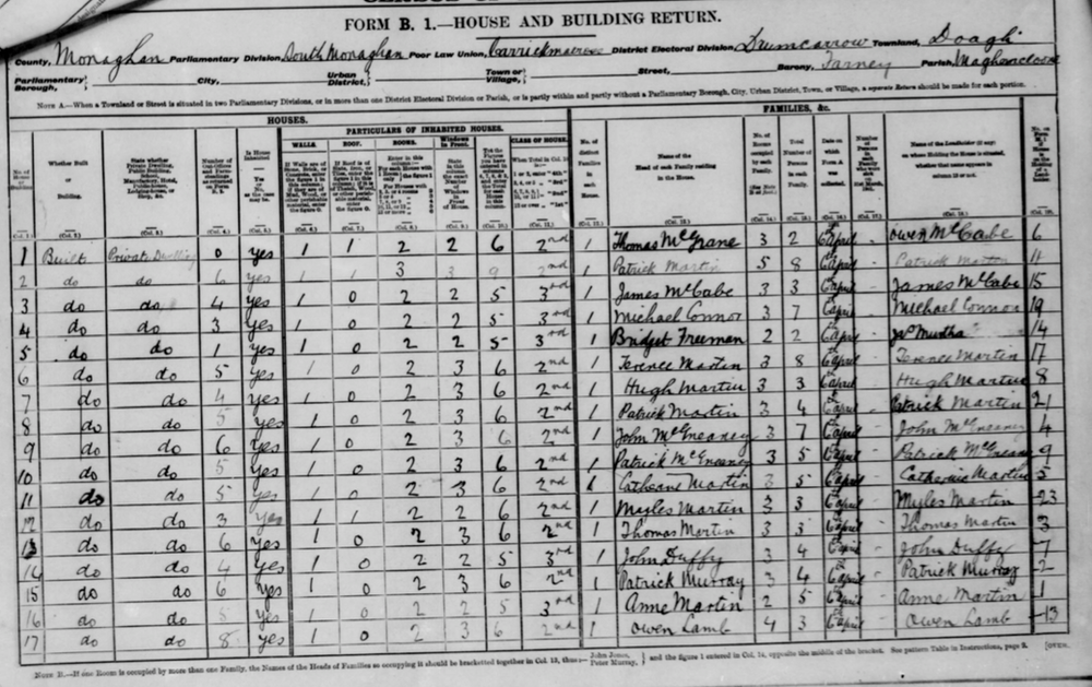 Irish Census Records