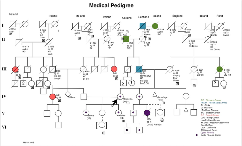 Genealogy and Health History