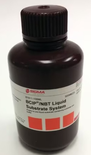 SIGMAFAST /TM) BCIP (R) NBT | Rymmex