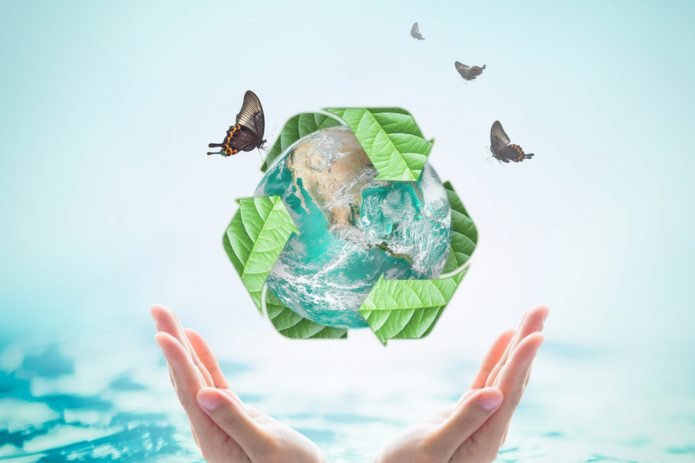 The Beginners Guide To Sustainability