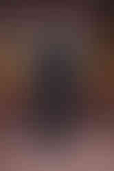 Blog | kaileemckenzie