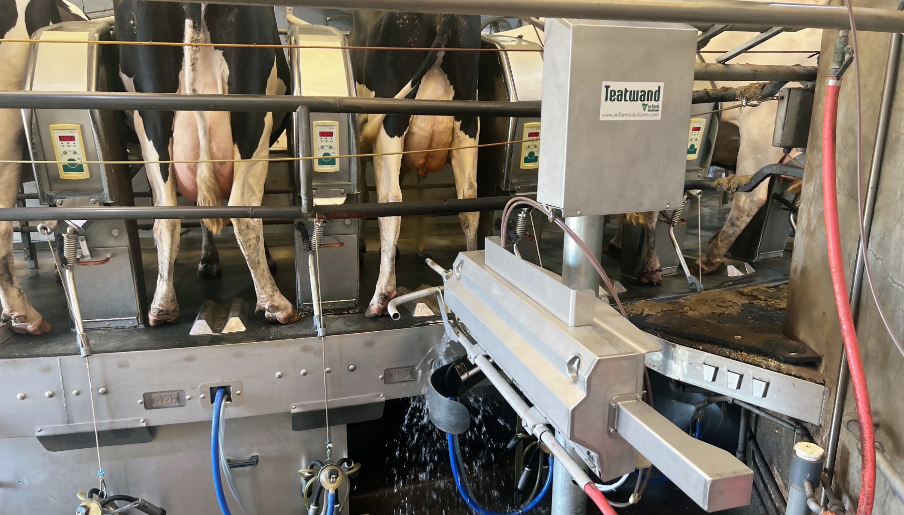 Introducing the Teatwand HD: Advancing Automated Teat Spraying for ...