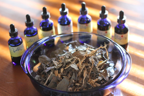 Maya Moon Oil Kit | Wildflowers Wellness