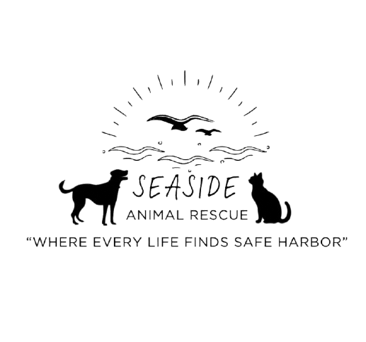 odd animals rescue
