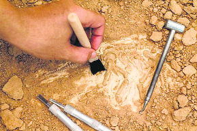 Neolithic and Ancient DNA in Anatolia