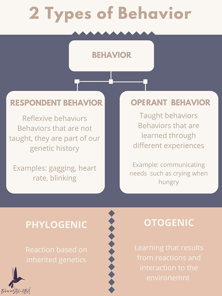 2 Types Of Behavior And What To Know About Them 2 Types Of Behavior And What To Know About Them