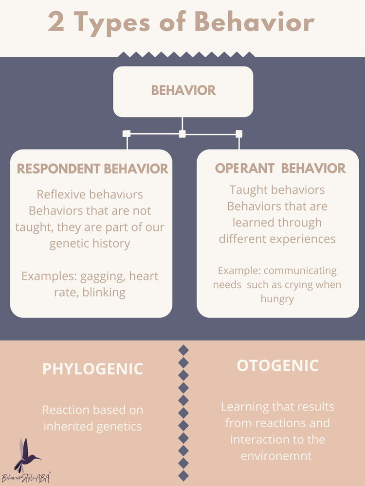 2 Types of Behavior and what to know about them