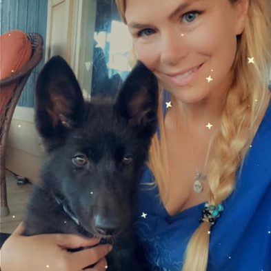 Puppy Gallery | Midwestern Wolfdogs/