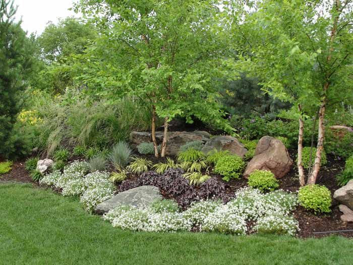 Choosing The Right Plants For Your Garden (Part 2): Tips for Proper Spacing