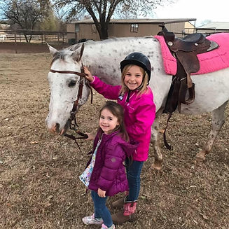 Pictures | Stoneridge Acres Sta