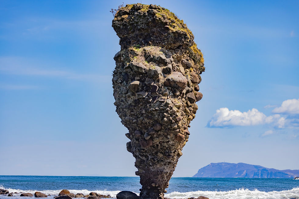 PHOTOGRAPH | the-arthropoda-beta