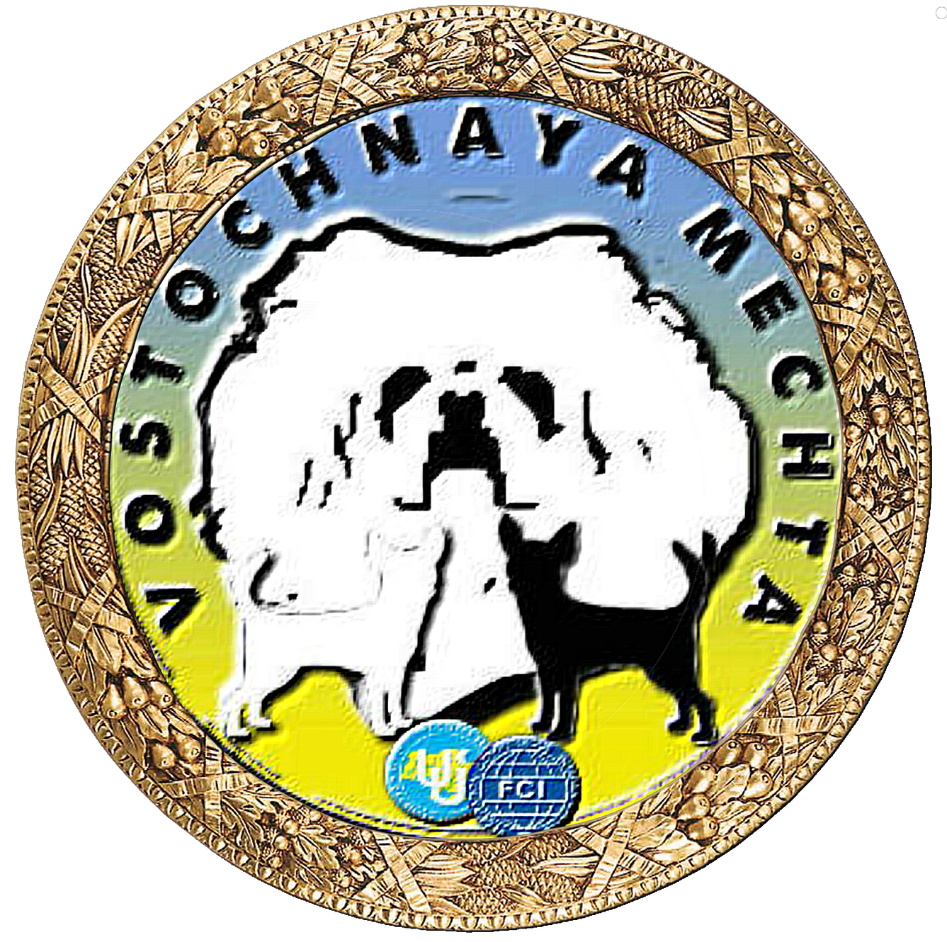 PUPPY | vostochnaya-mechta-e