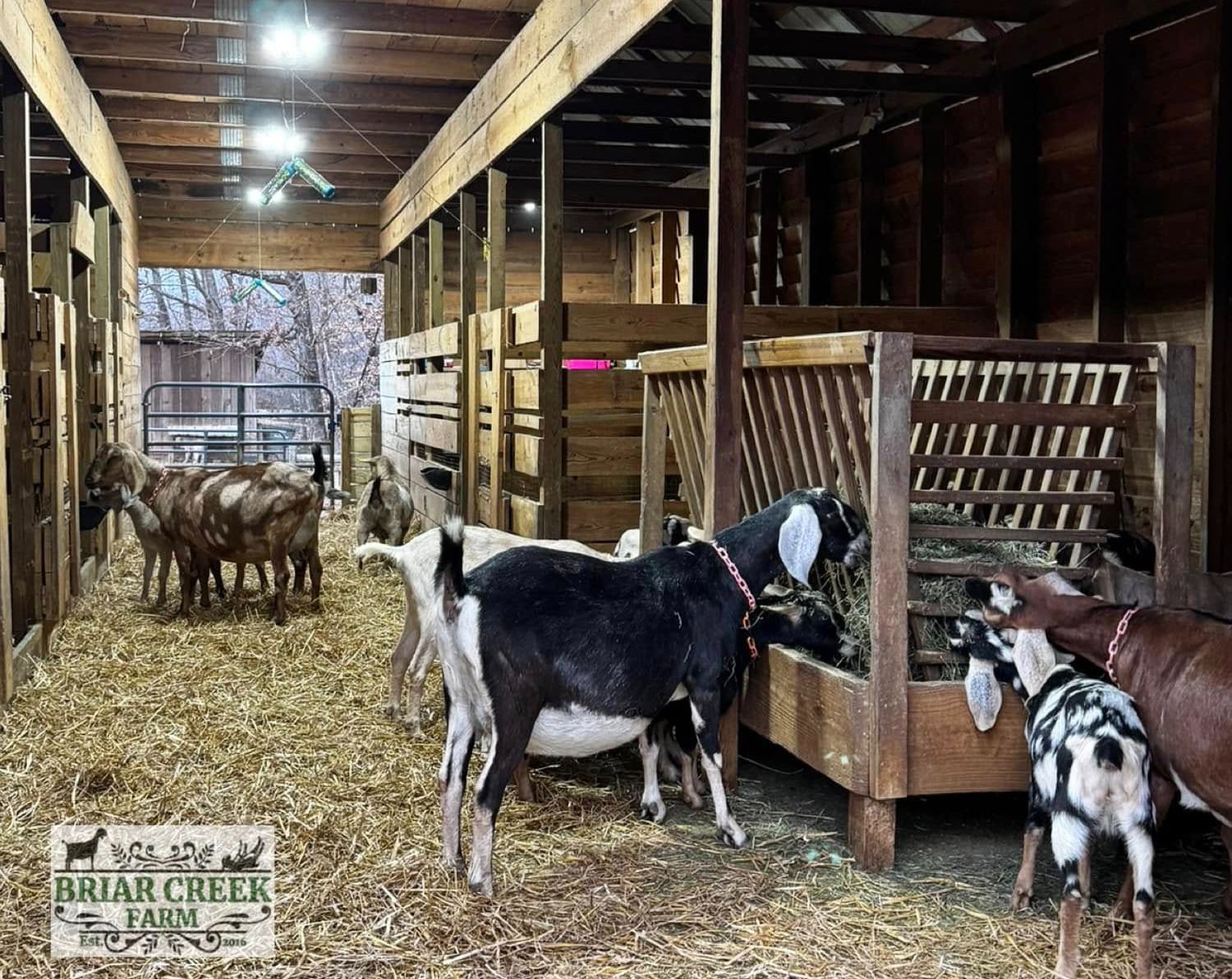 WHY PROPER HOUSING MATTERS