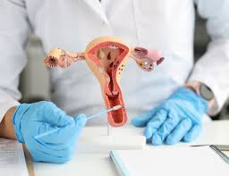 HVS Swab Routine Culture and Sensitivity | BriskMed