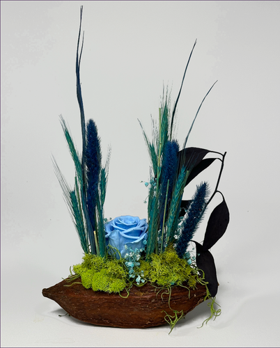 Blue Cocoa Bean Blooms | bloombudz