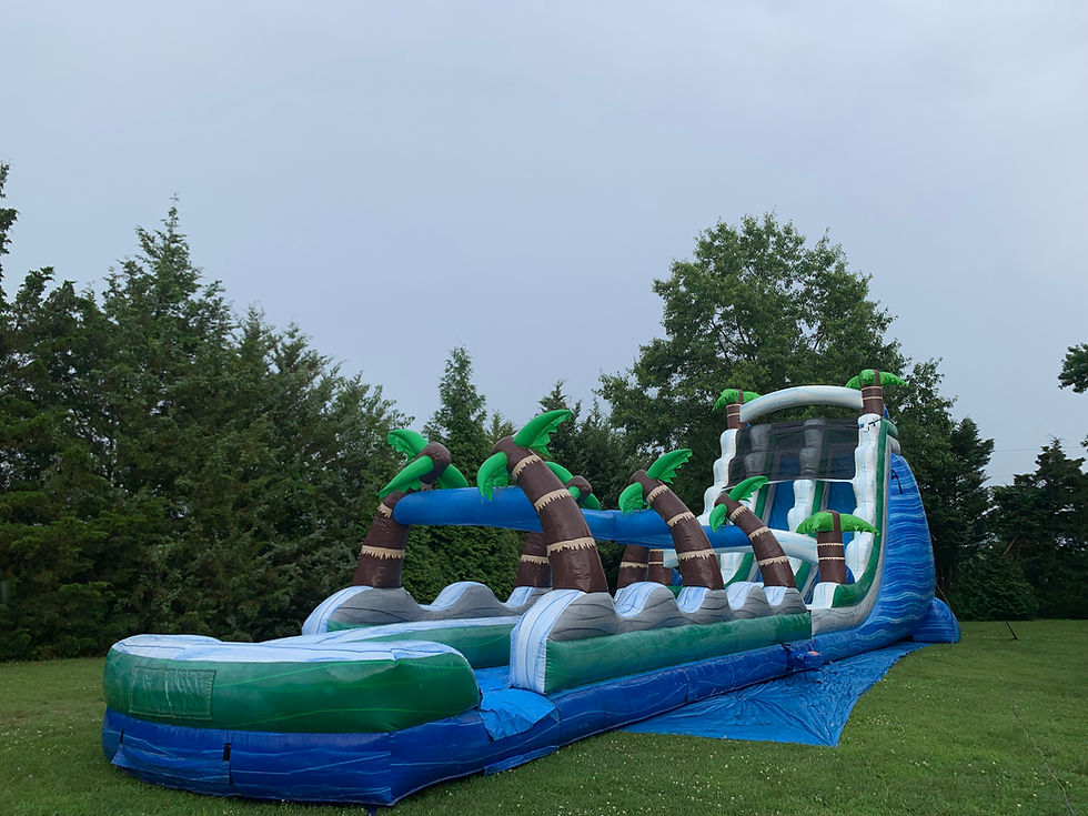 All Blown Up Inflatables: Waterslides & Bounce Houses for Rent in Delaware