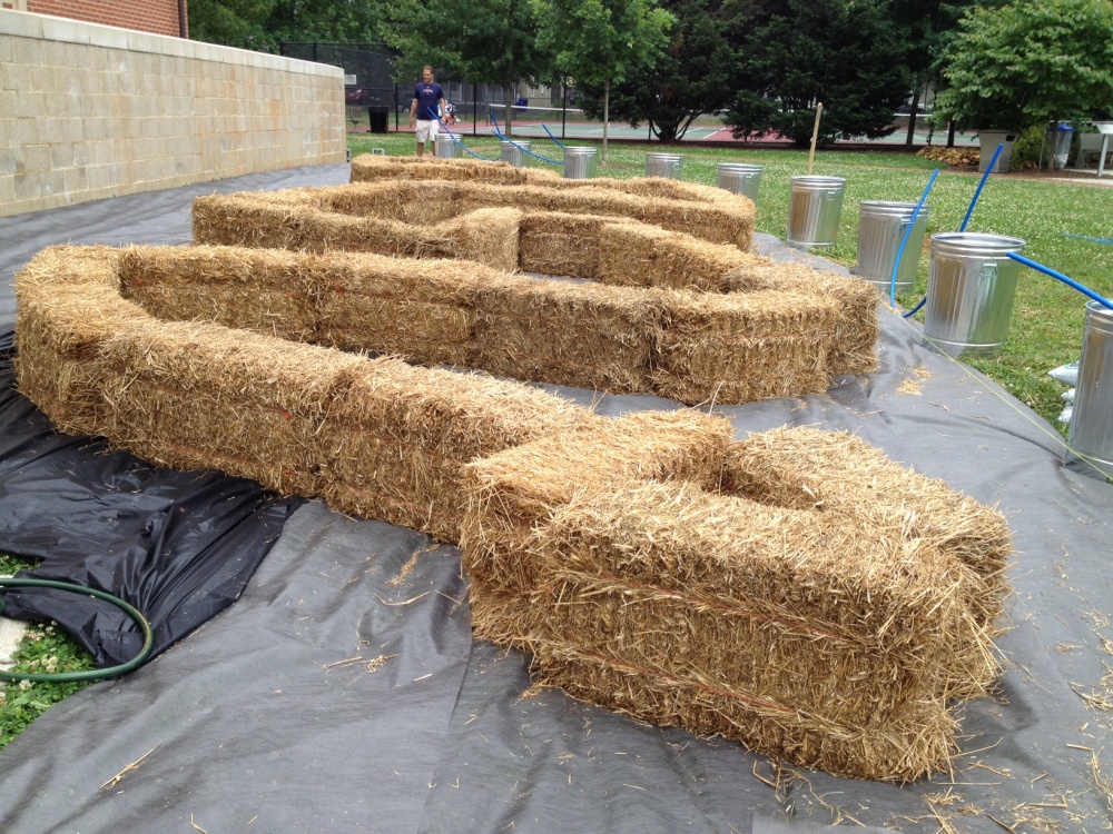 Membership | weadartists