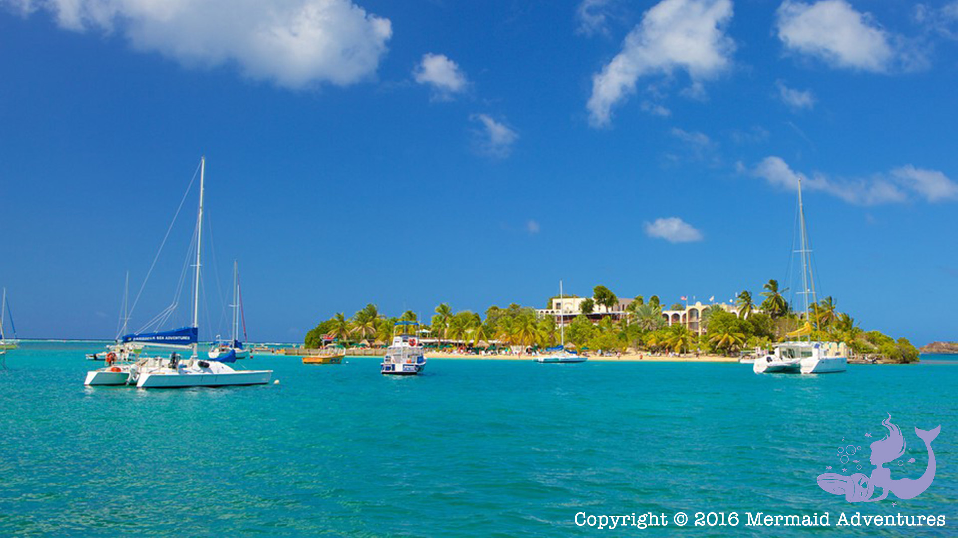 Mermaid Adventures | Beautiful St. Croix