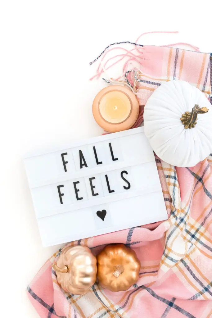 Home | Life by Gerthy