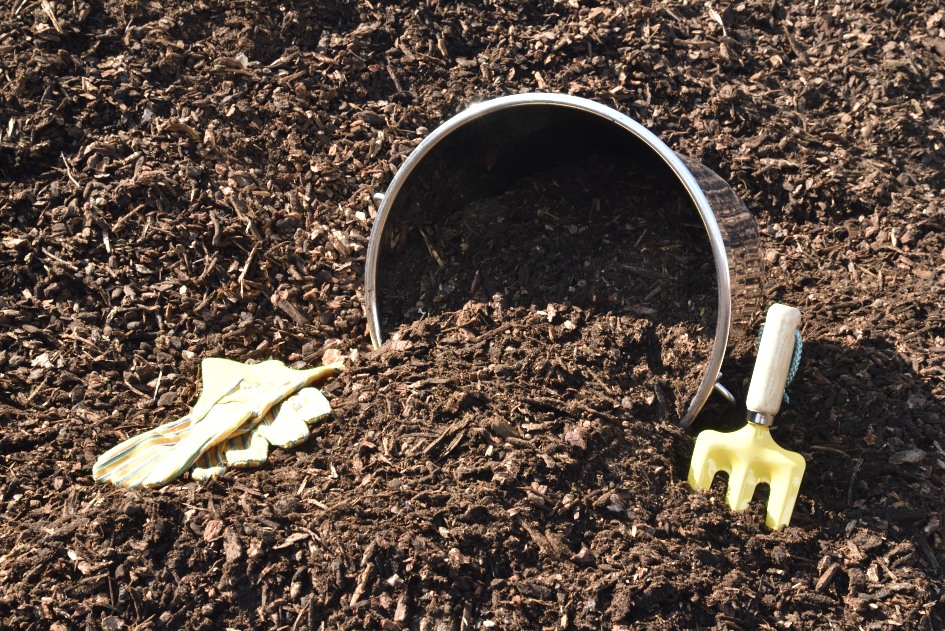 The Complete Guide to Choosing and Using Bark Dust for Your Landscaping