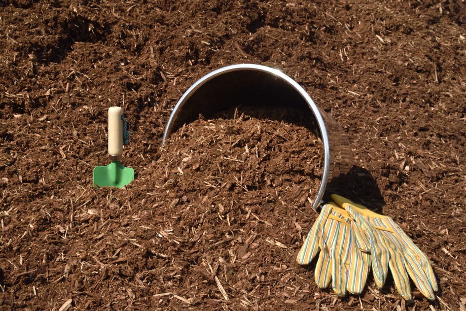 The Complete Guide to Choosing and Using Bark Dust for Your Landscaping