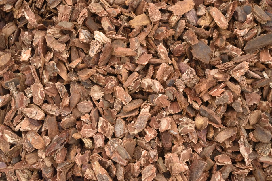 The Complete Guide to Choosing and Using Bark Dust for Your Landscaping