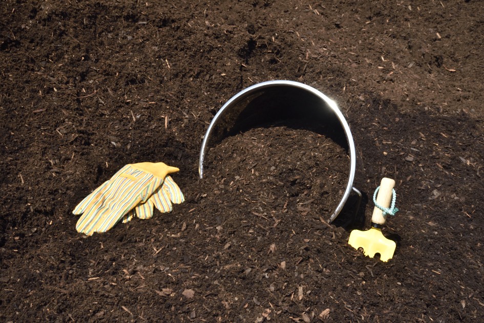 The Complete Guide to Choosing and Using Bark Dust for Your Landscaping