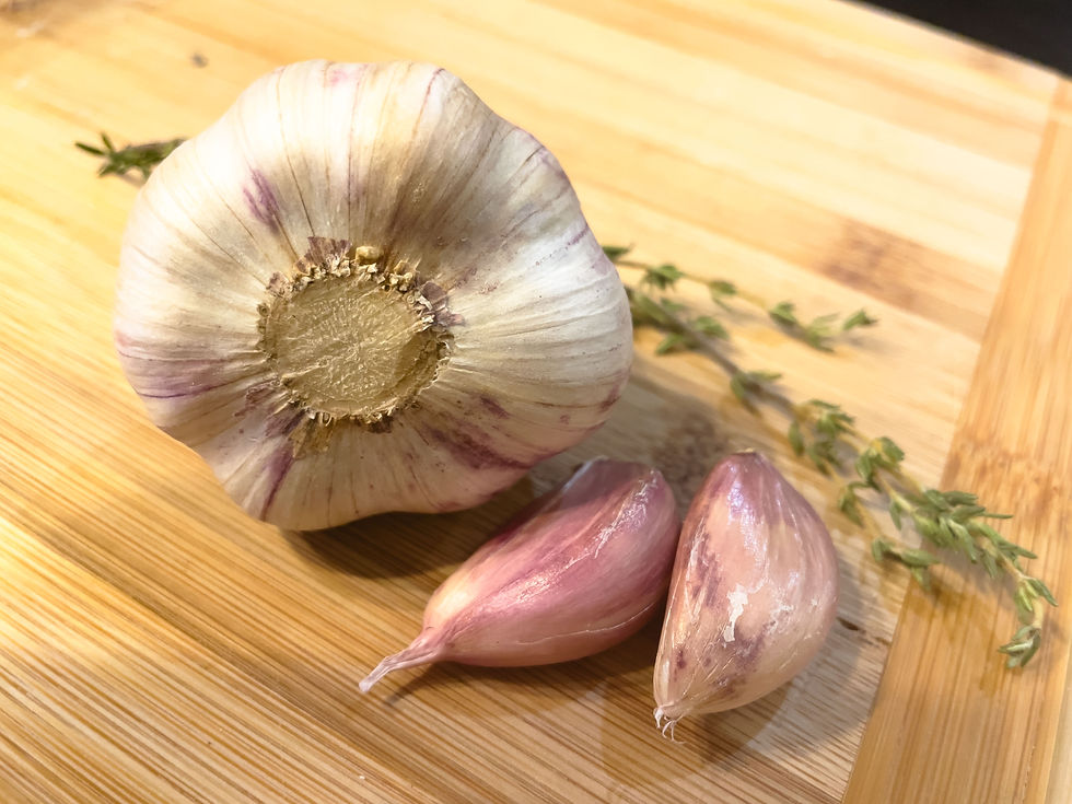 Romanian Red | Northernlightsgarlic