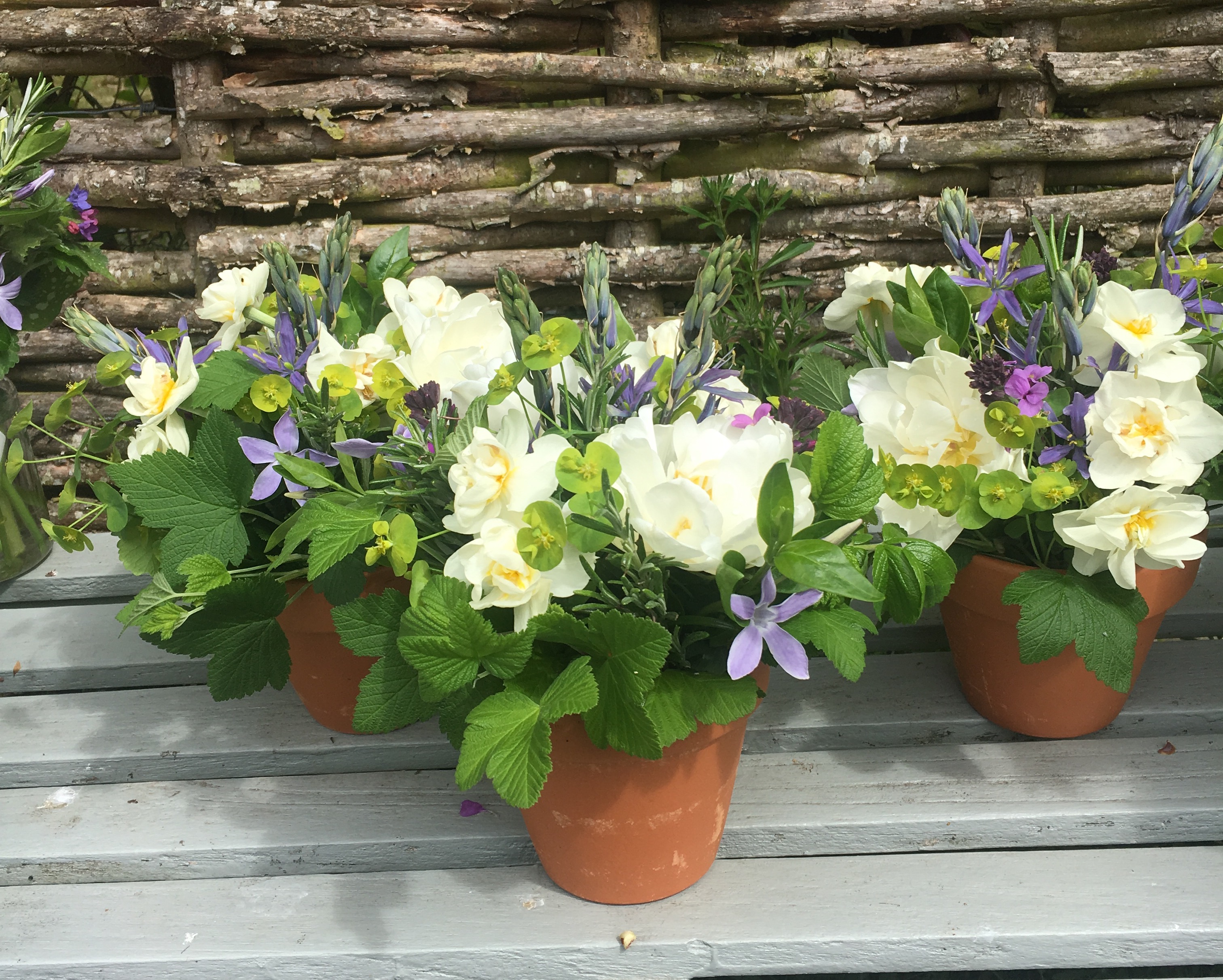 Francesca Sharp Flowers | Florists | Churt, Farnham, Surrey