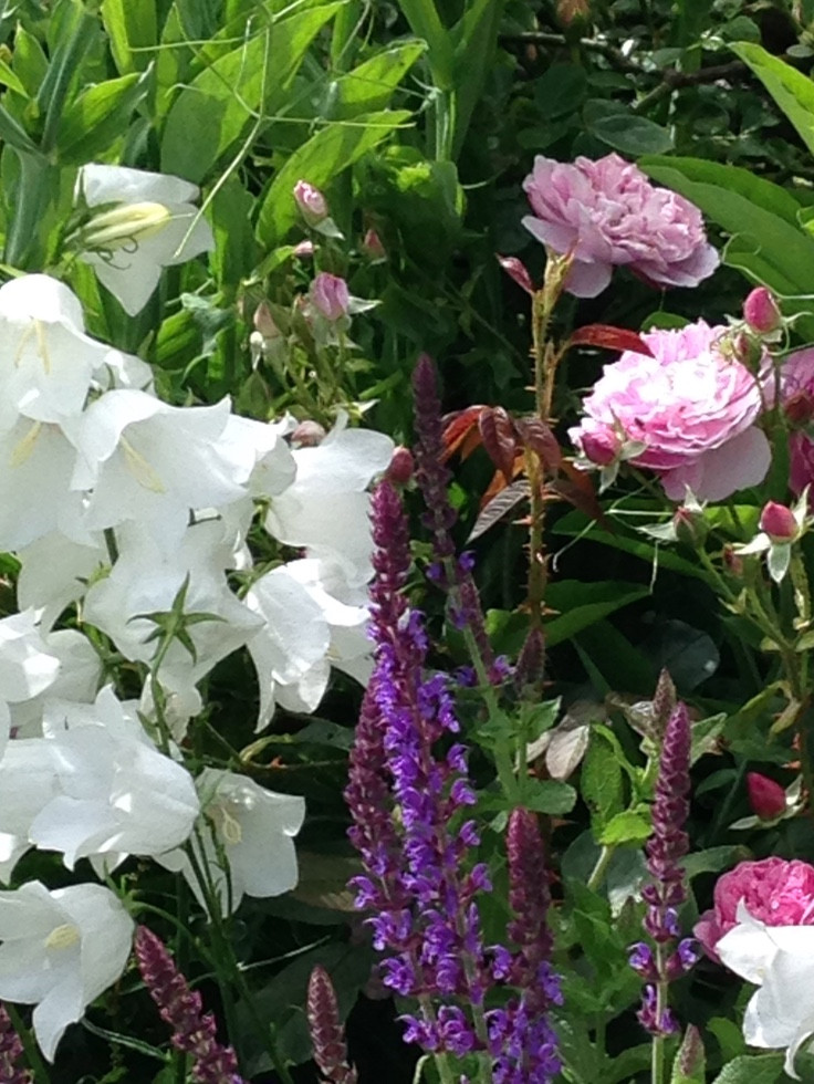 Gallery | Florists in Surrey & Hampshire | Francesca Sharp Flowers