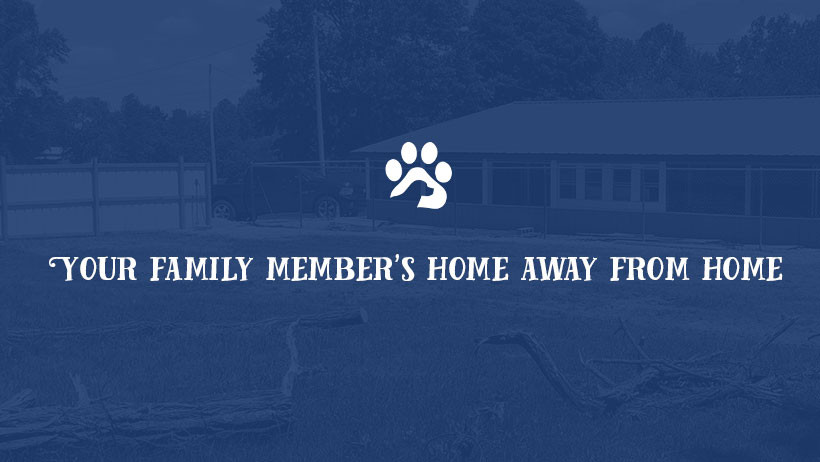 About Us | R&T Kennel