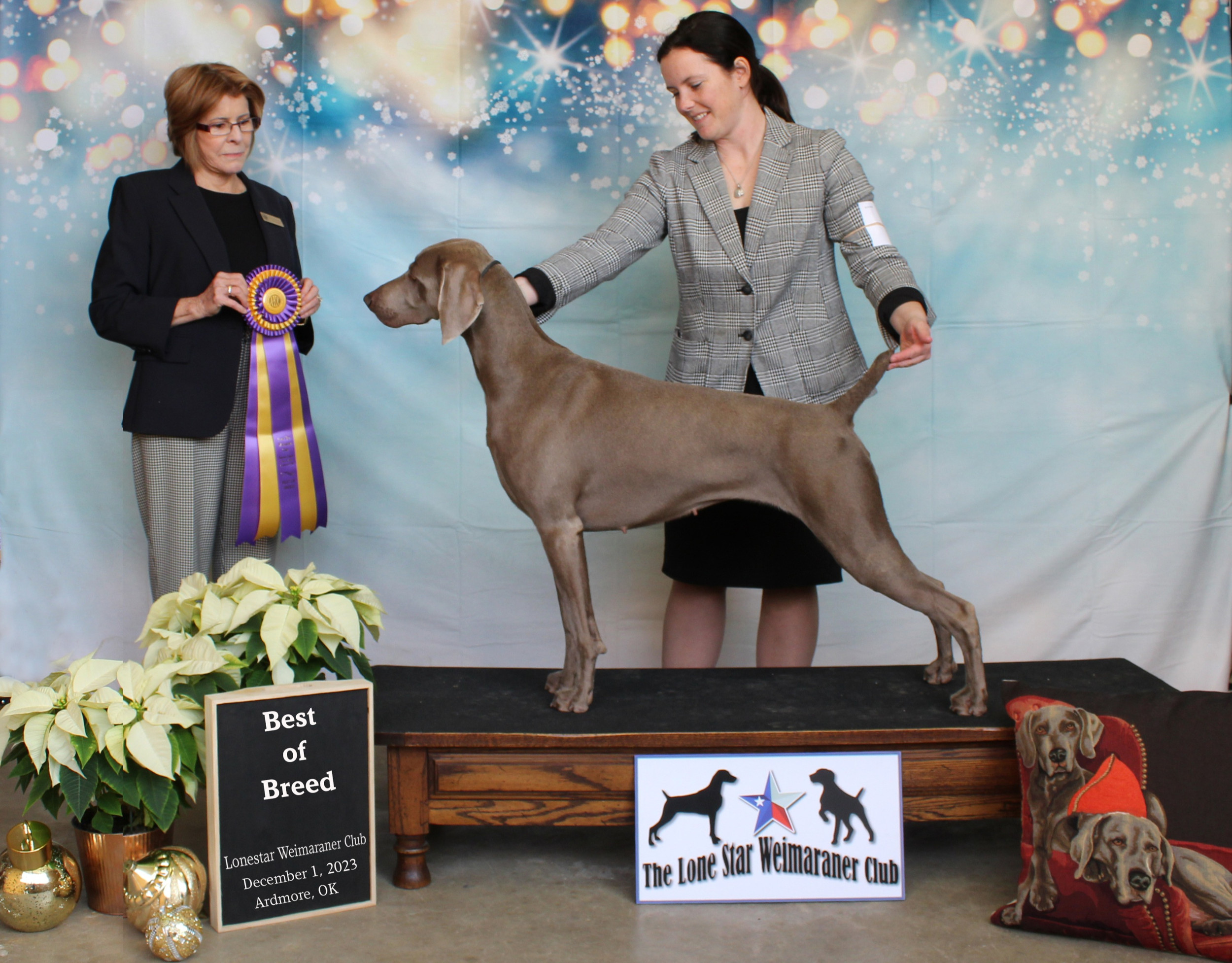 Devine Weims | LSWC Specialty Photos