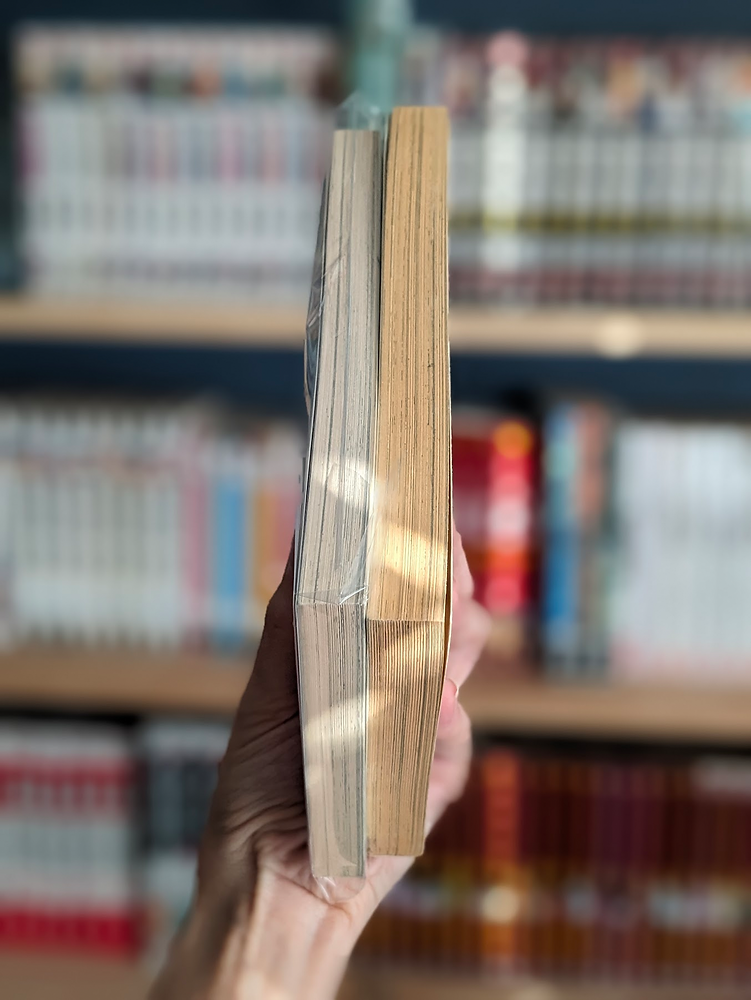 Manga Preservation Guide