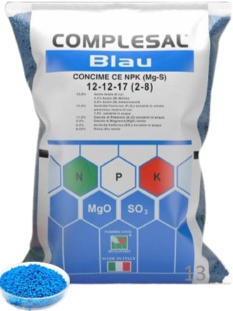 Complesal Blau 12.12.17 | Prophyhakam