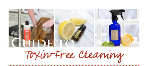 US Toxin-Free Cleaning (8.5X11 size)